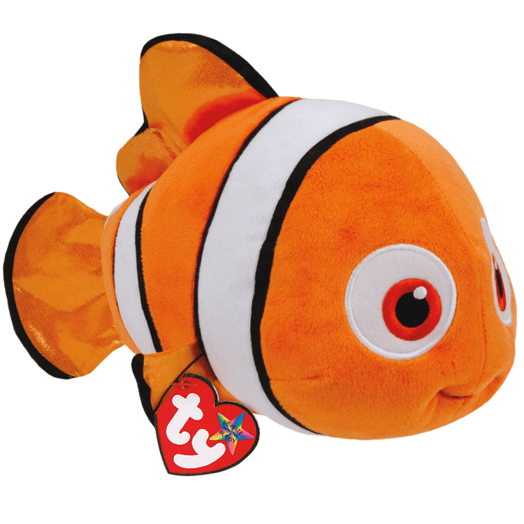 Nemo Fish Store at Carlo Simmons blog